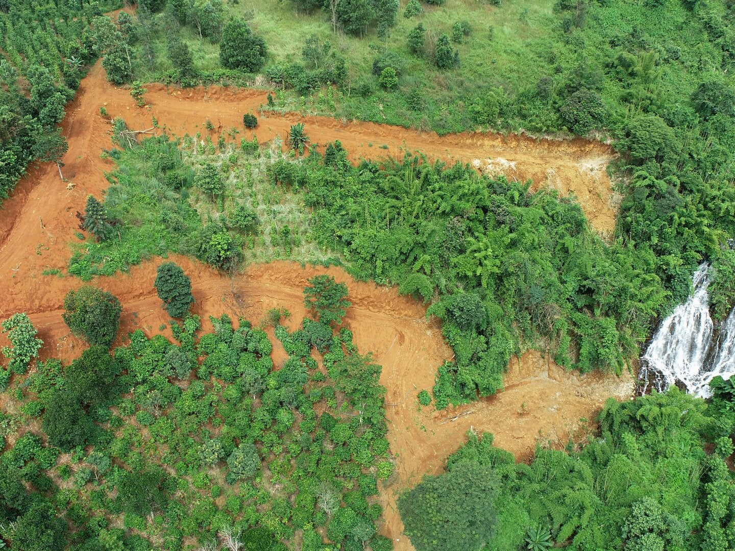 Vigilance Development Group