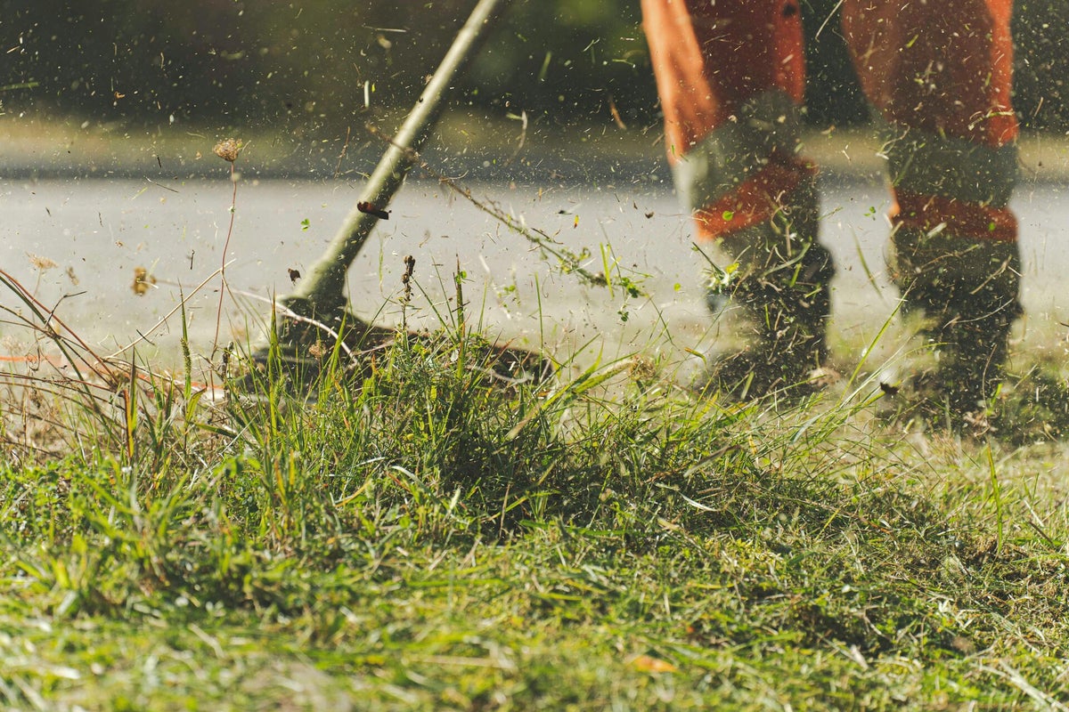 Our Services | L'estrie Teen Aide