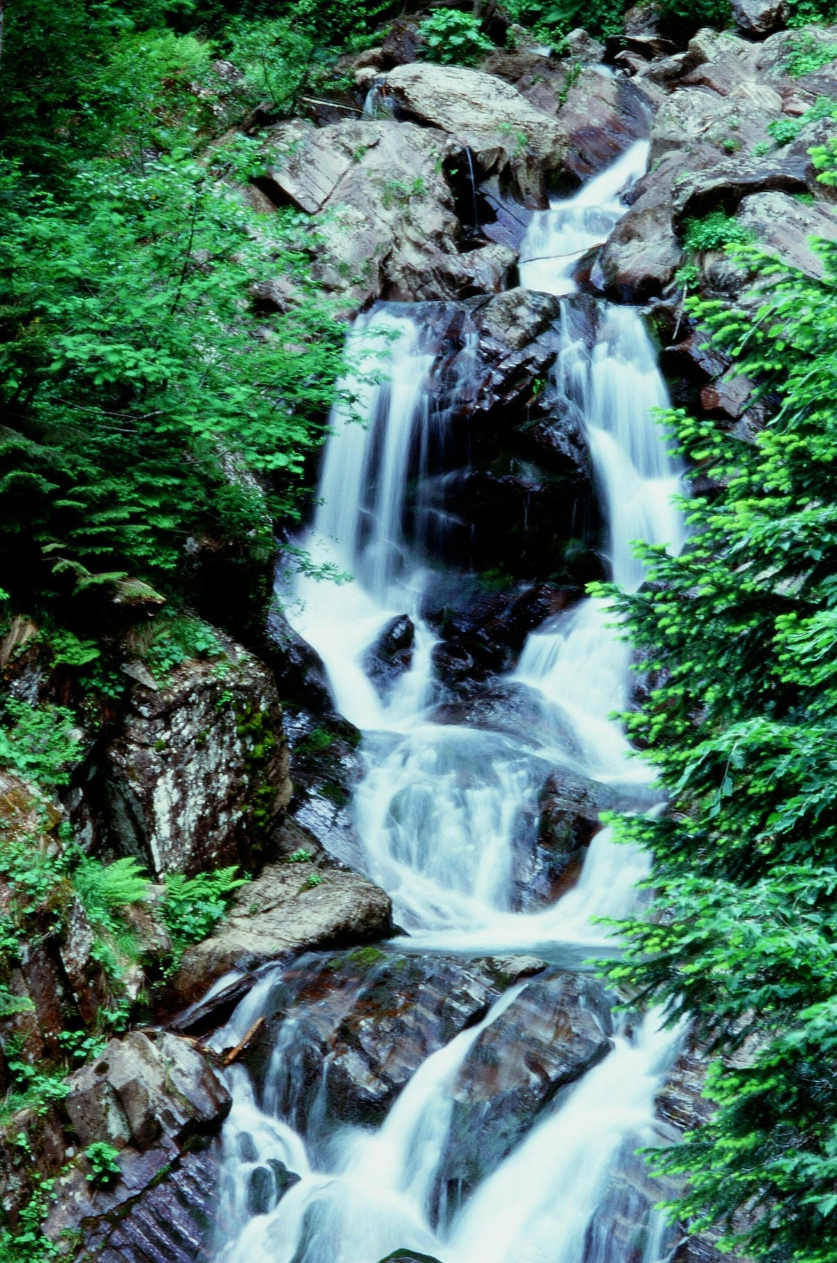 Dr Kate Fraser Therapy | Psychology service based in Aberdeen/Aberdeenshire