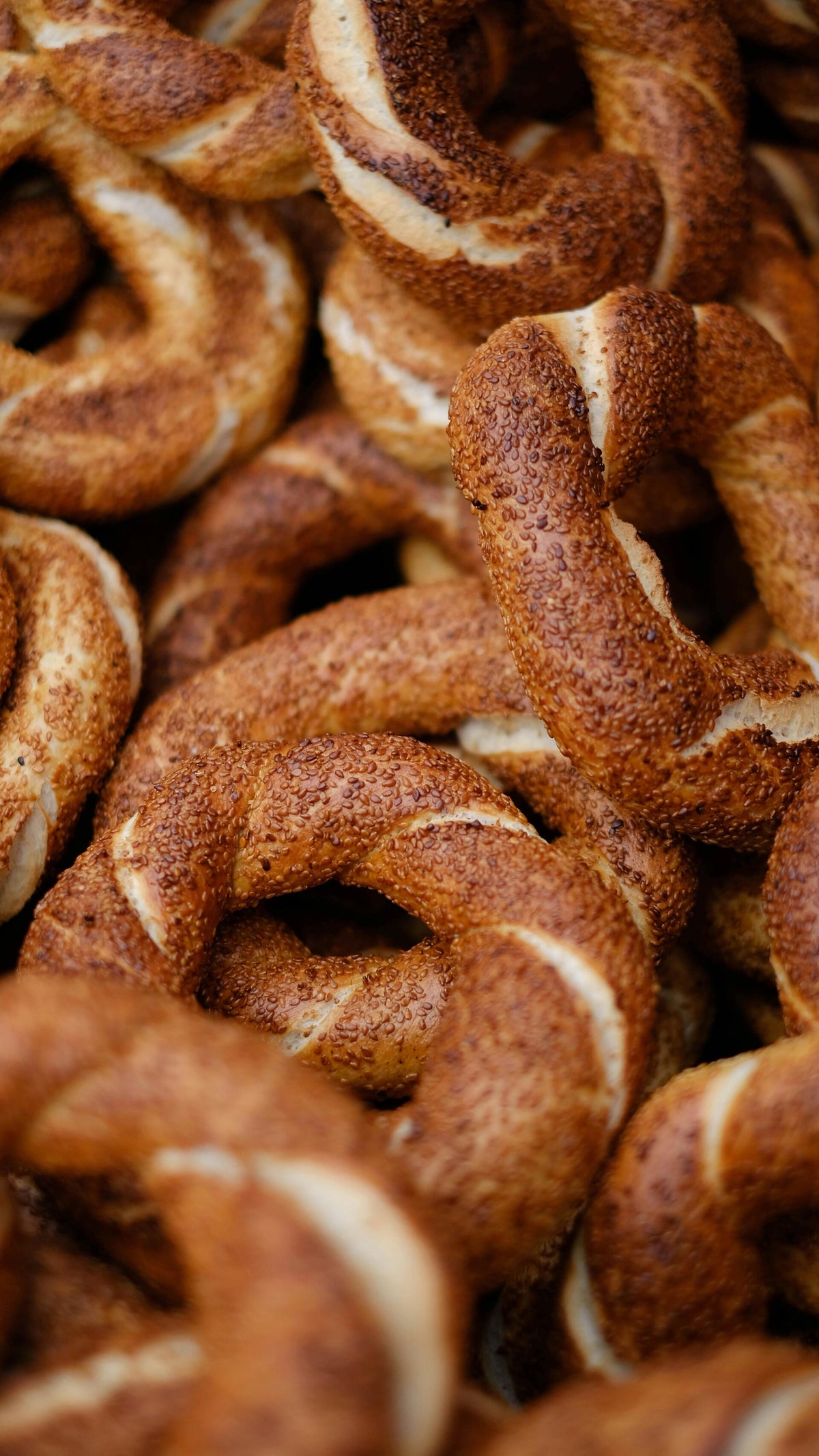 "Cinnamon Girl" (Excerpt) / Short Stories & Poems | Underground Bookshelf