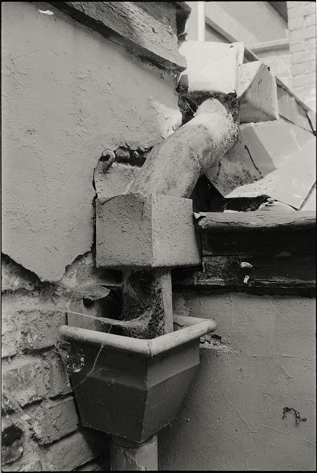 The Battle of the Eaves: Box Gutters vs. K-Style in the Queen City ...