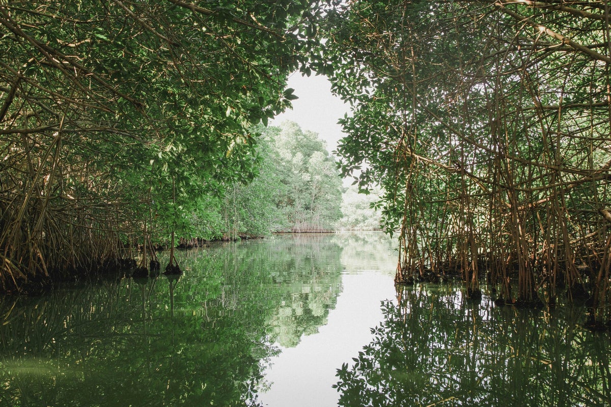 Shipstern, Belize