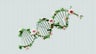 The 12-Strand DNA: Your Blueprint for a Fully Evolved Human / Blog ...