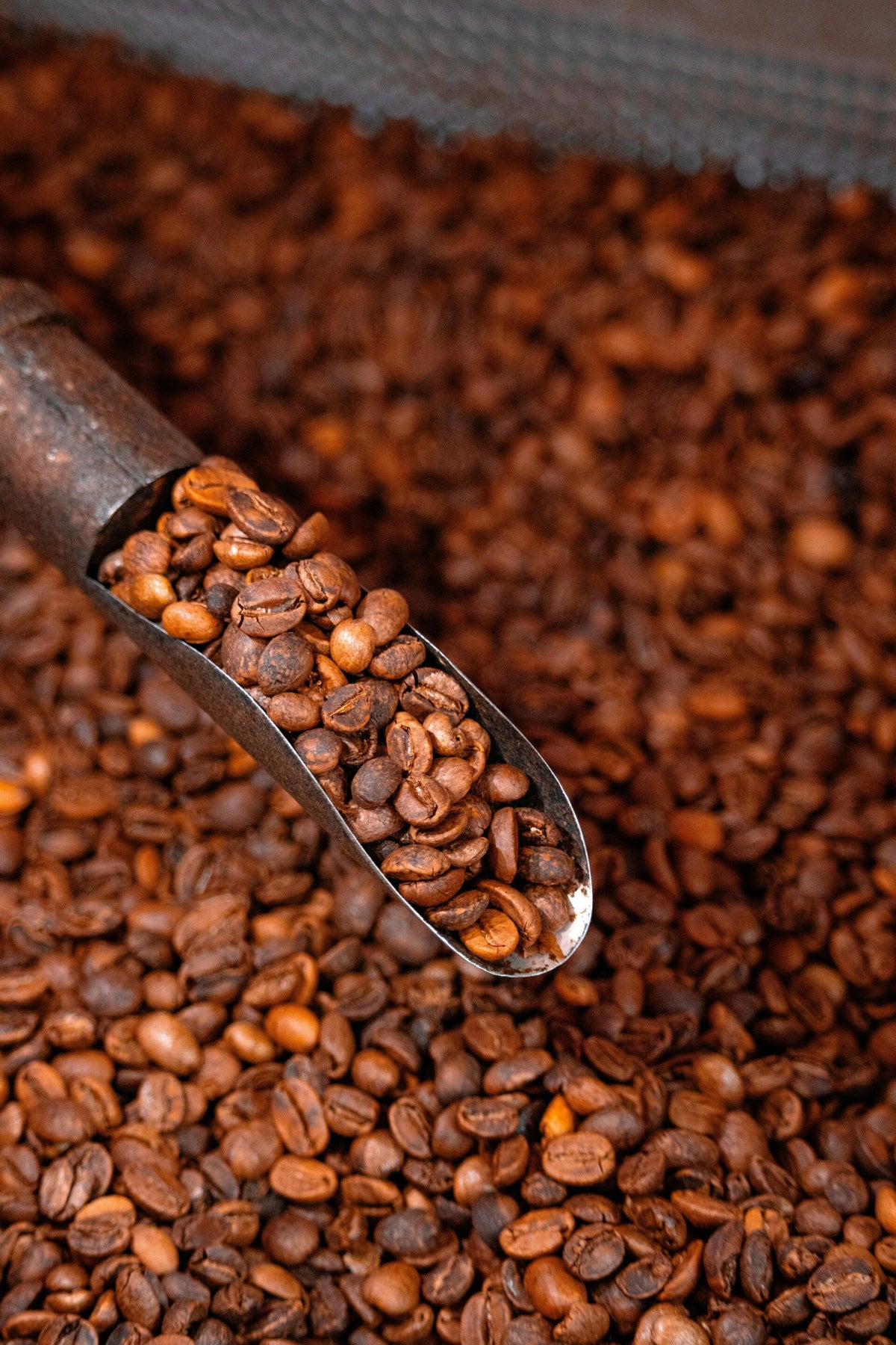 Brewing Guides | Juan Chico coffee