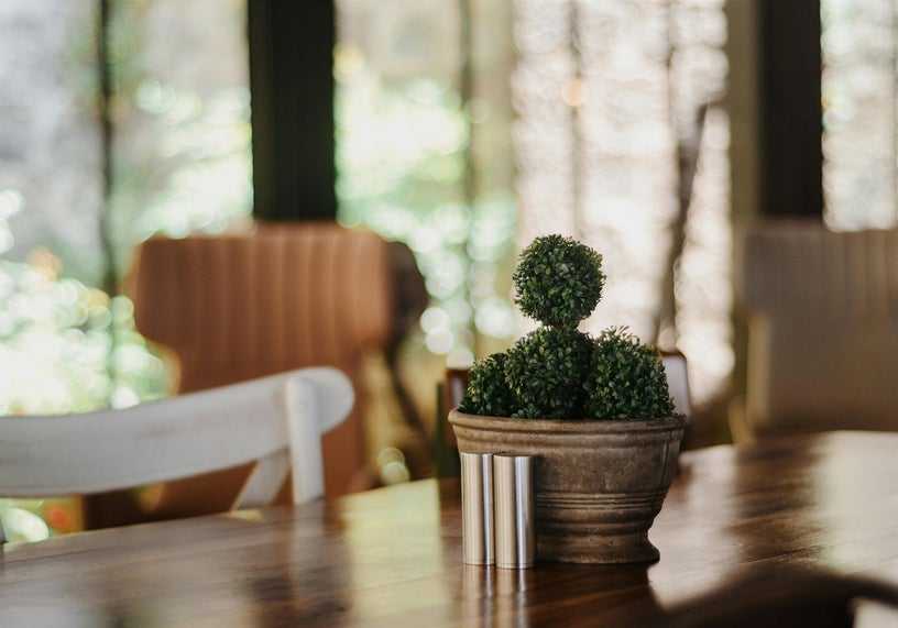 Build your own plant | Pete's Plantery