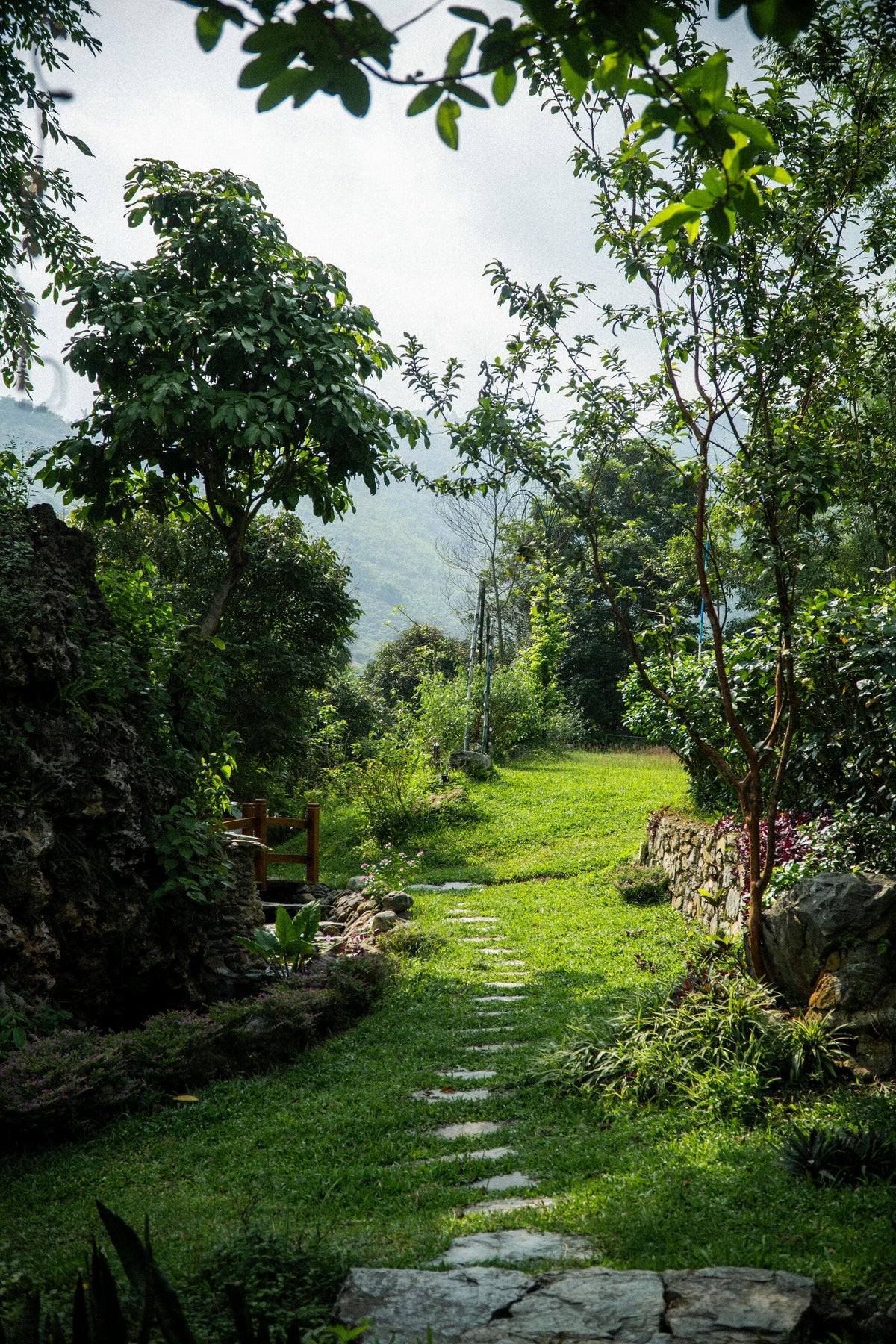 Tour Packages | cinnamon village tour