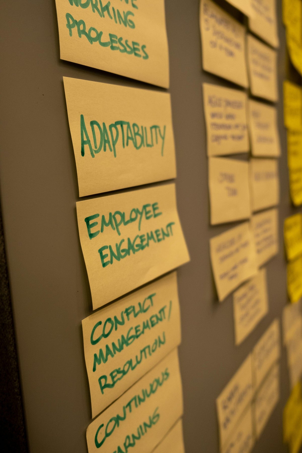 About Us | ESM Compliance Consulting