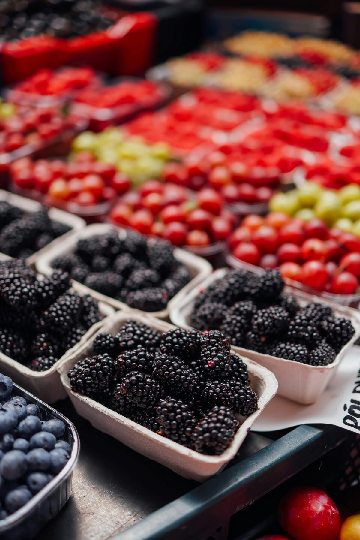 Elizabeth's Cheesecake Cravings