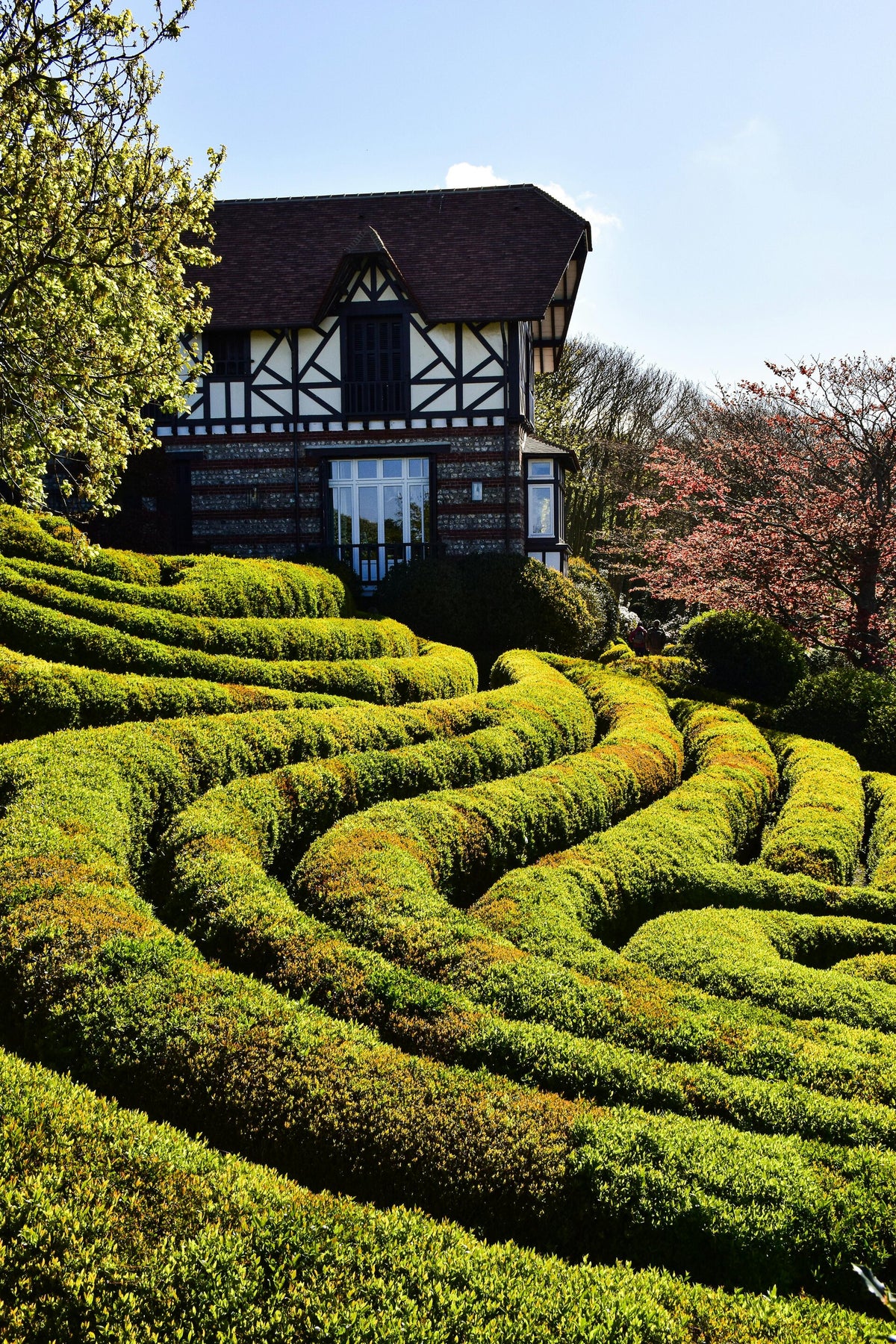 Shonuff lawn care LLC