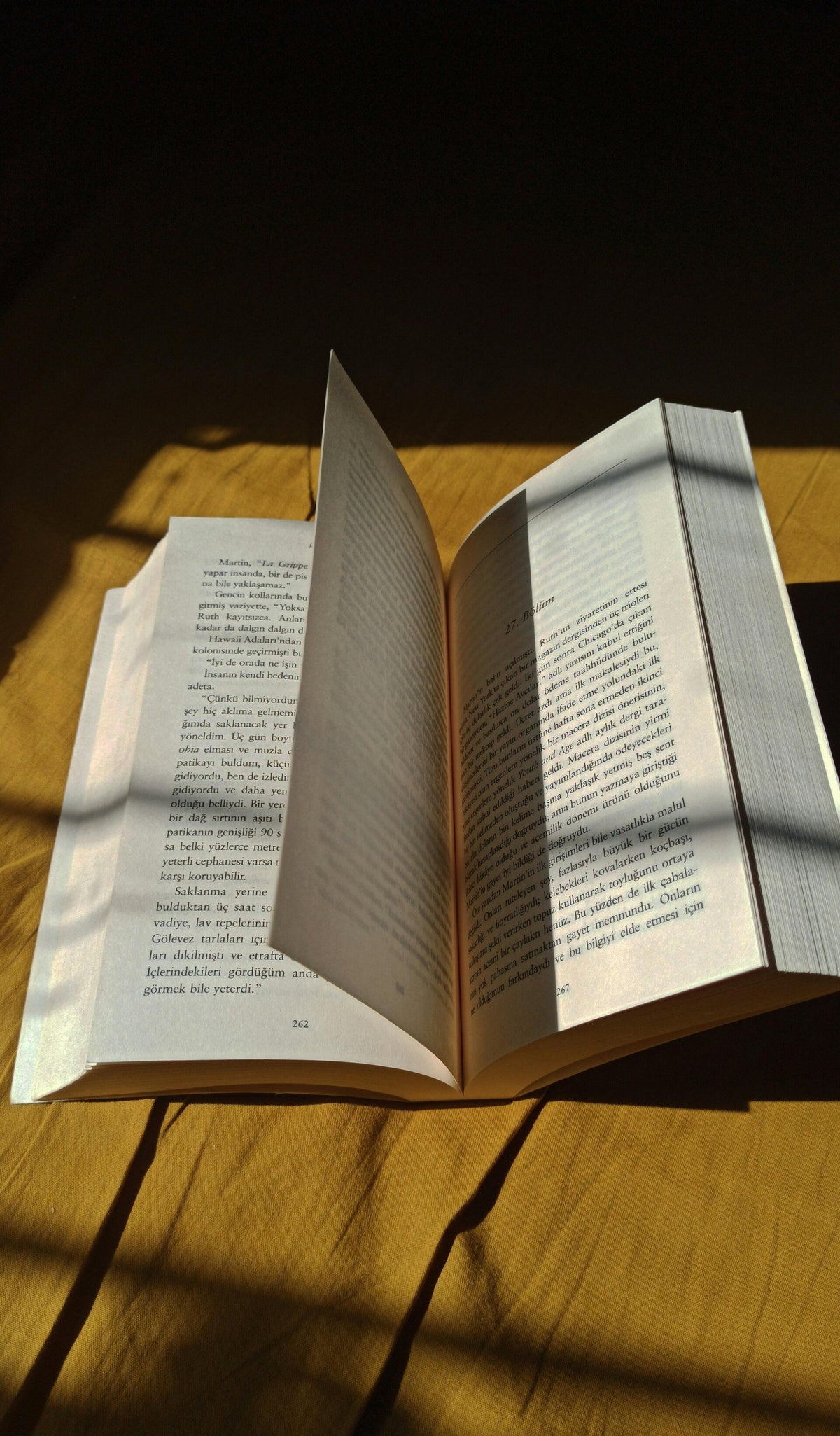 About ARB pBooks