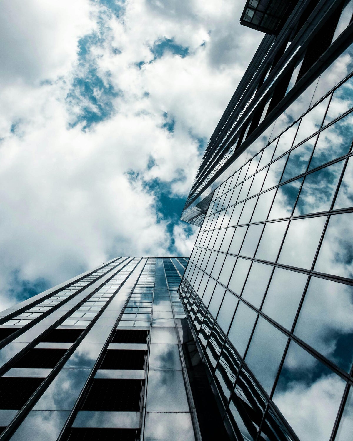 Purpose & Overview | The Learning Blueprint