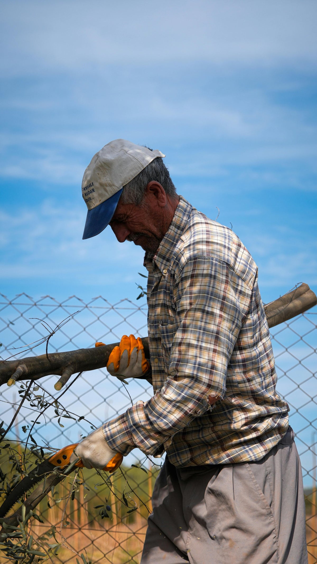 Project gallery | E-scapes