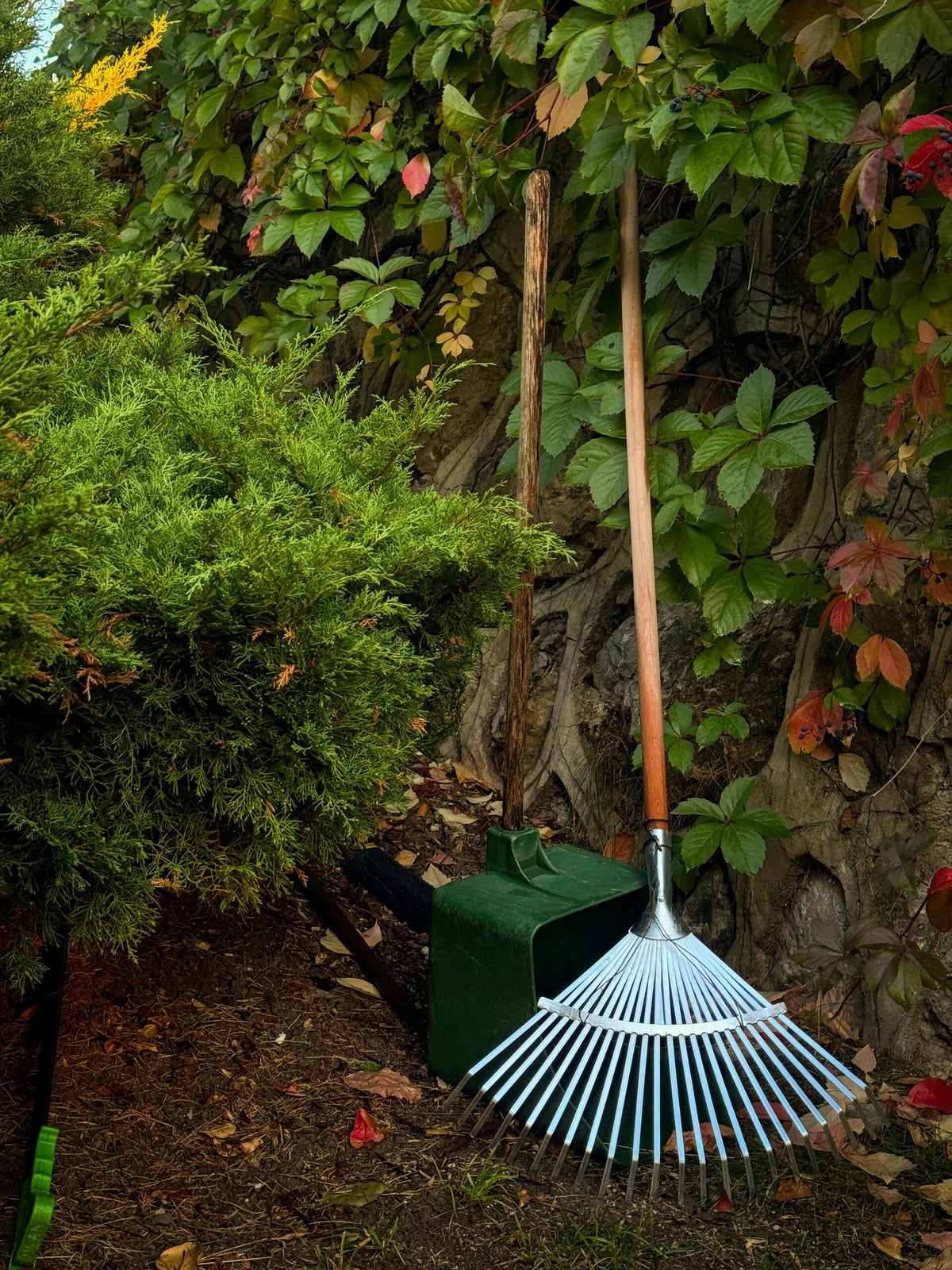 Chris's handyman services & yard work
