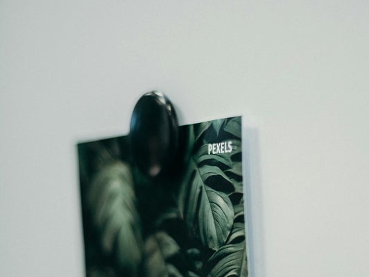 Wildlife centre | Hyde and seek tours