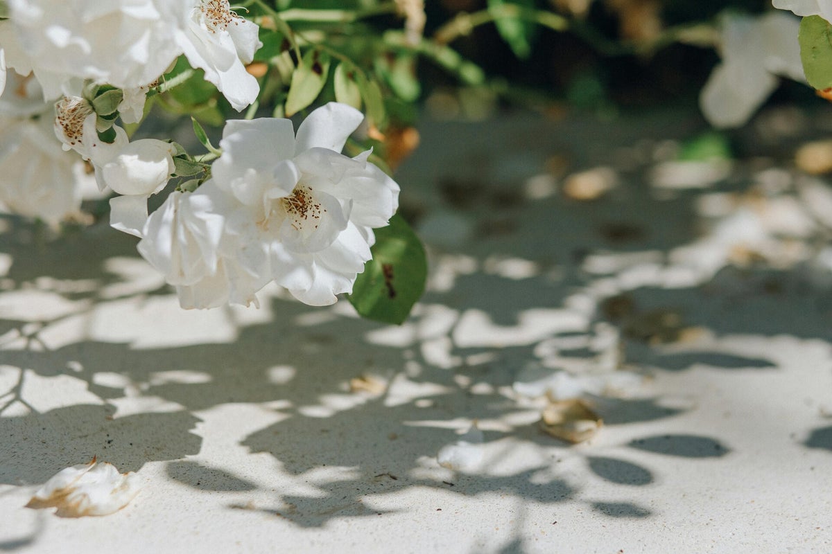 Our Doula Services | ABQ Doulas & Birth Services LLC