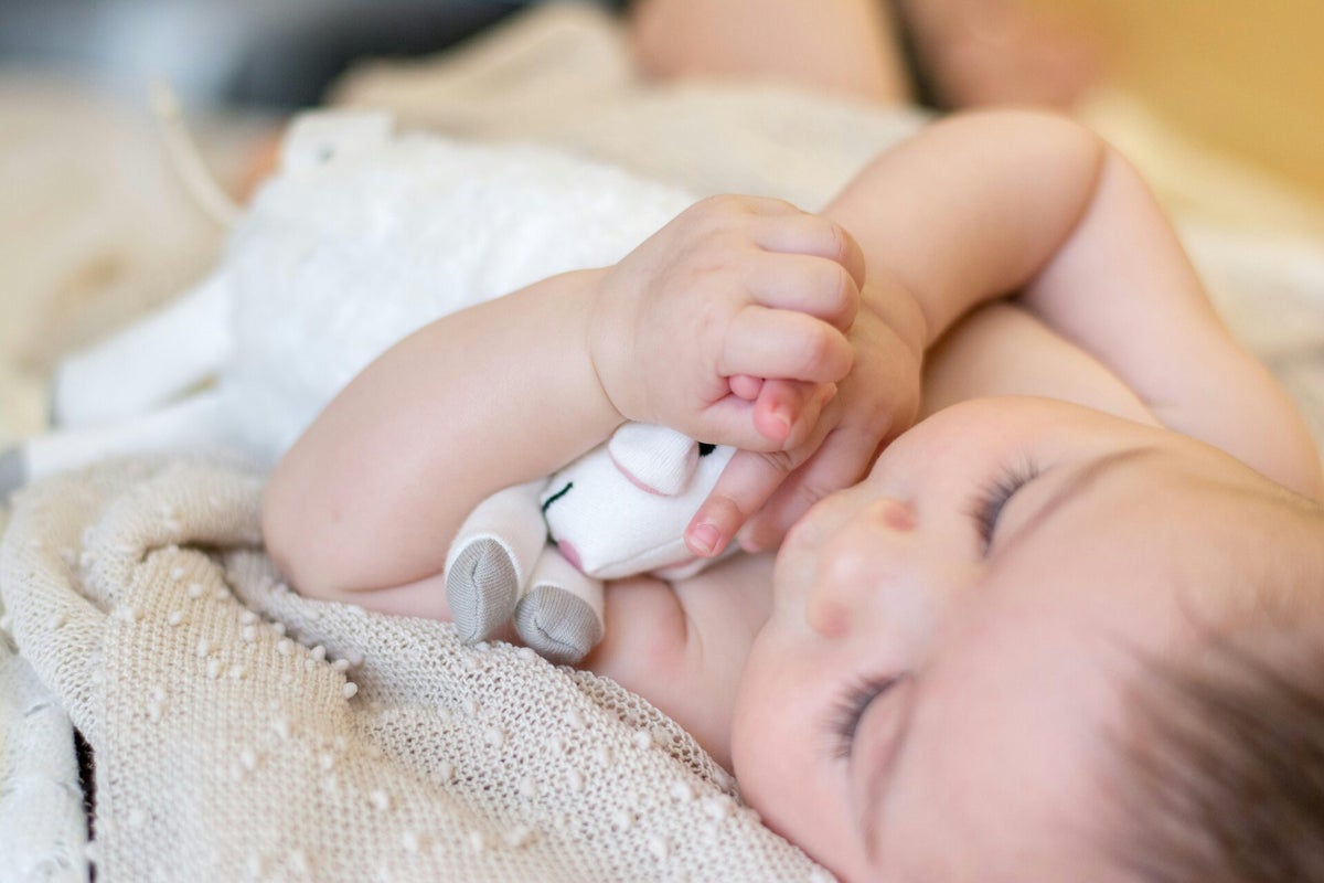 Dummy Clips | Little Stitch & Co.