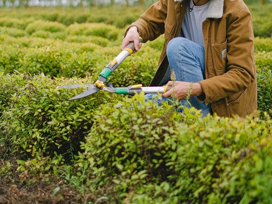 Cuttin It Close Lawn Care Inc Peoria Reviews