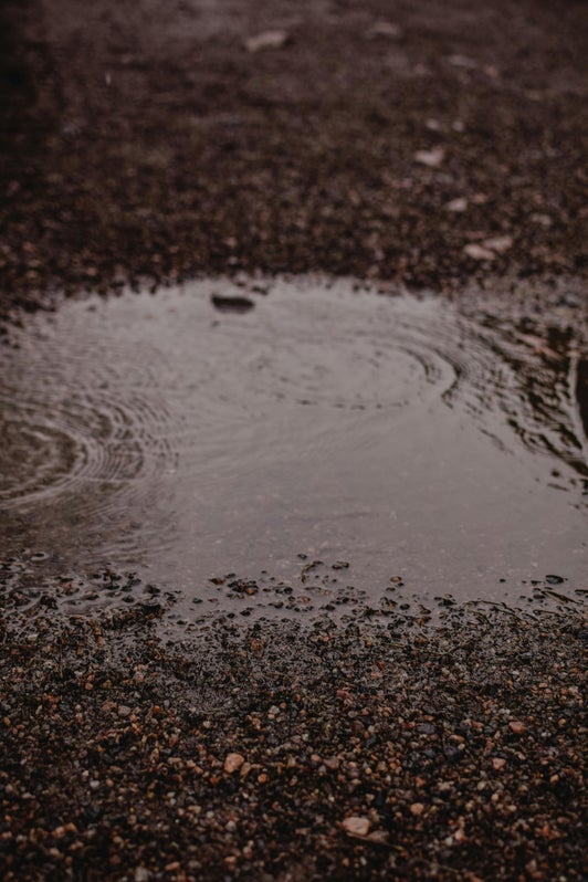 Reflection in a Dirty Puddle (prose poetry) | Underground Bookshelf