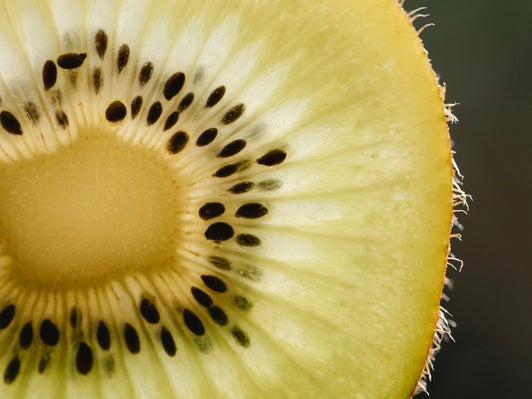 Wildlife centre | Hyde and seek tours