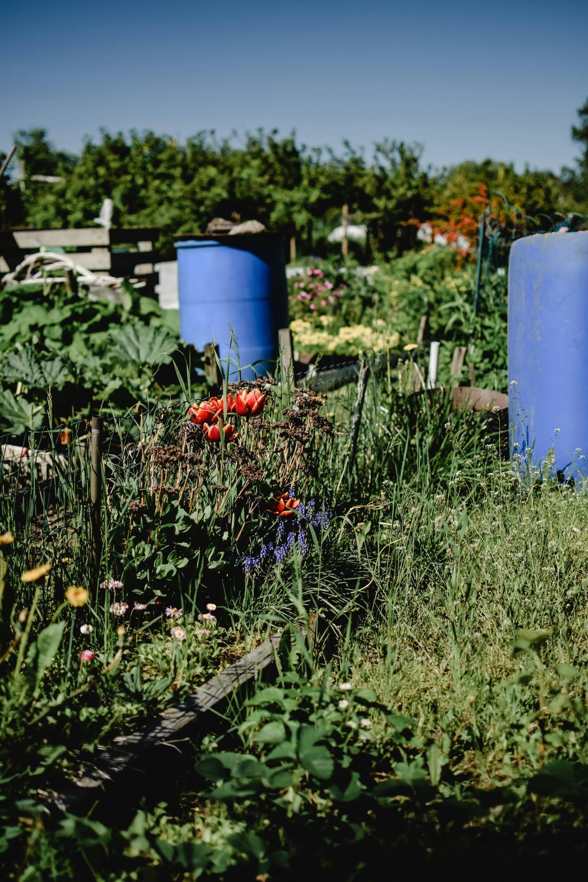 Building Community Kai Gardens