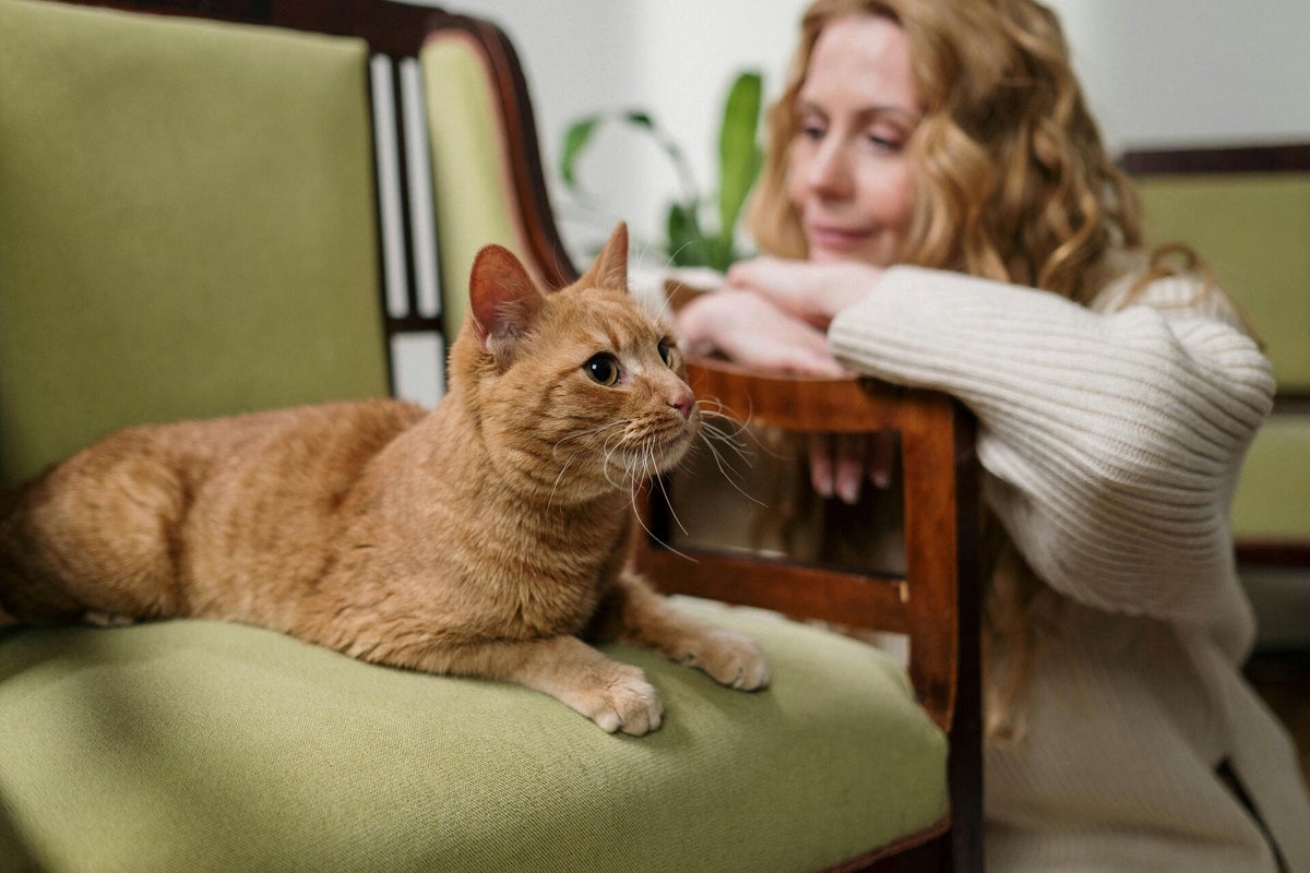 Purrrfect Personal cat care