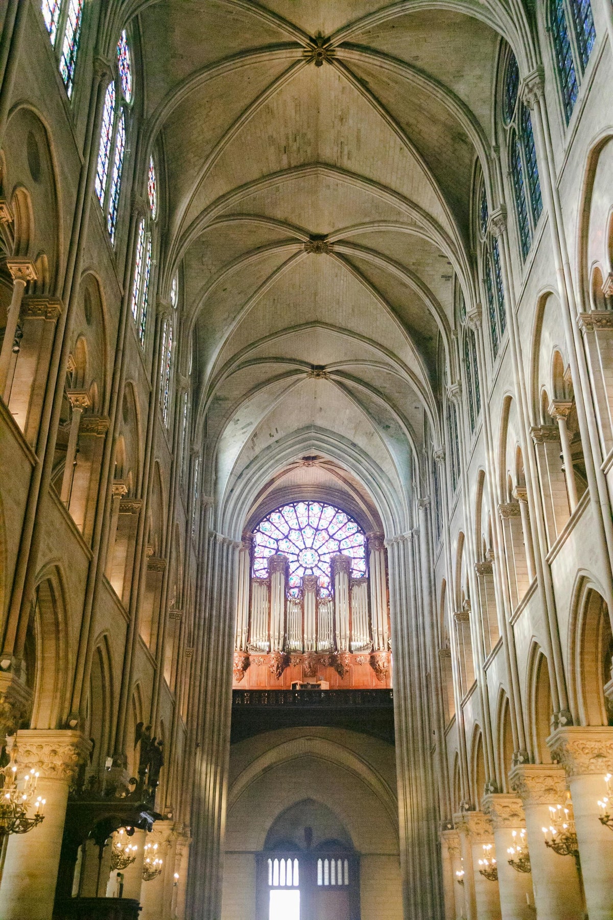 Notre-Dame Cathedral Paris: History, Architecture & Visitor Guide 2026