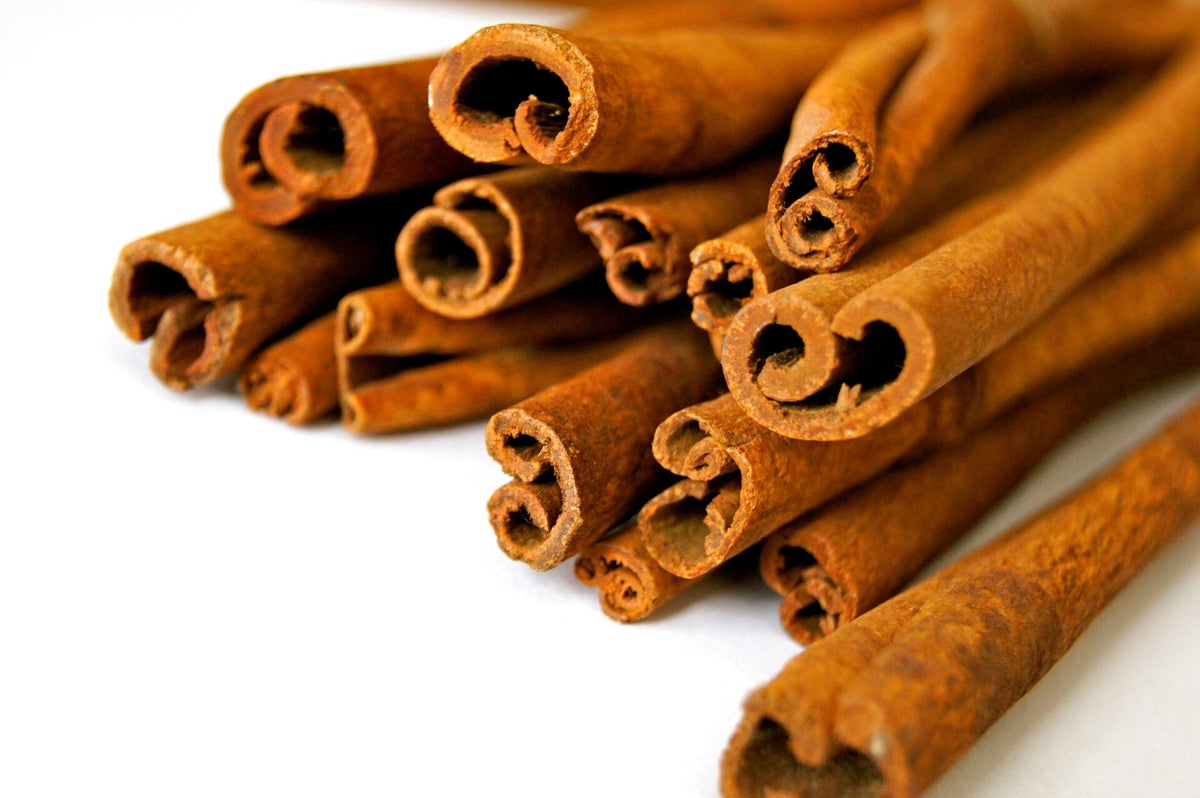 Tour Packages | cinnamon village tour