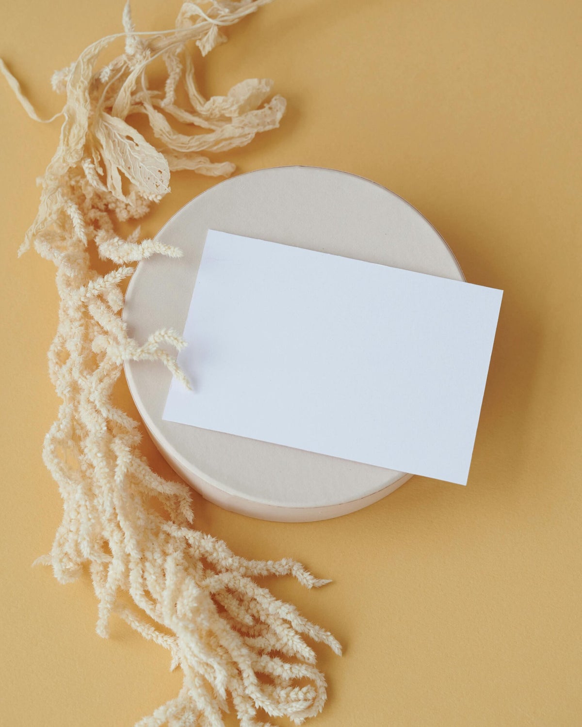 DNA Testing | www.signaturefingerprinting.org