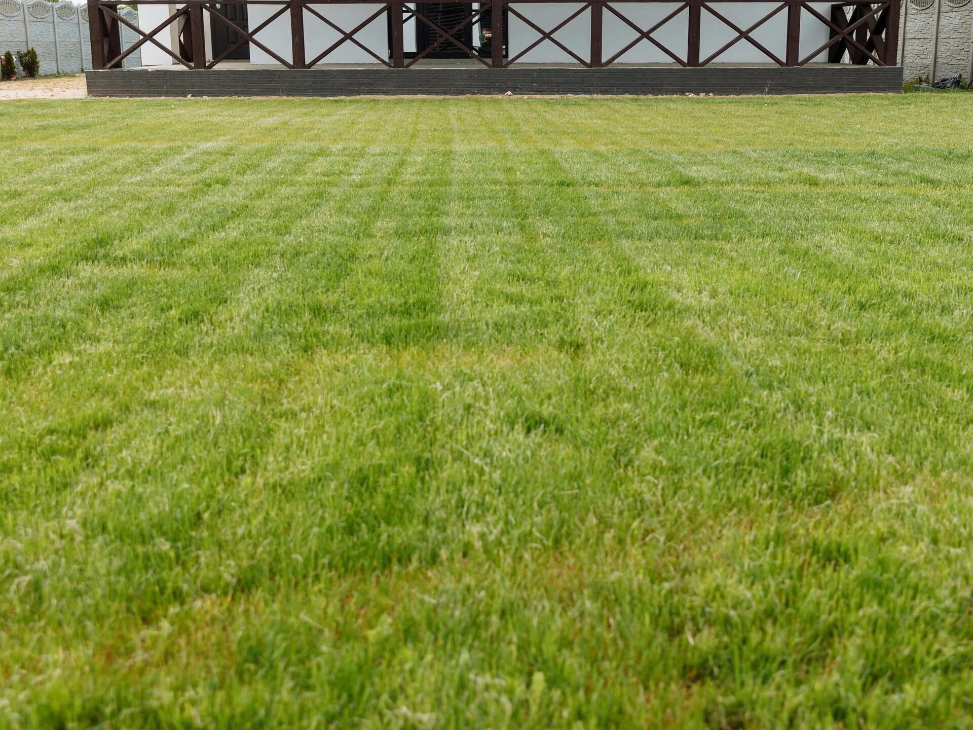Cuttin it Close Lawn Care Management