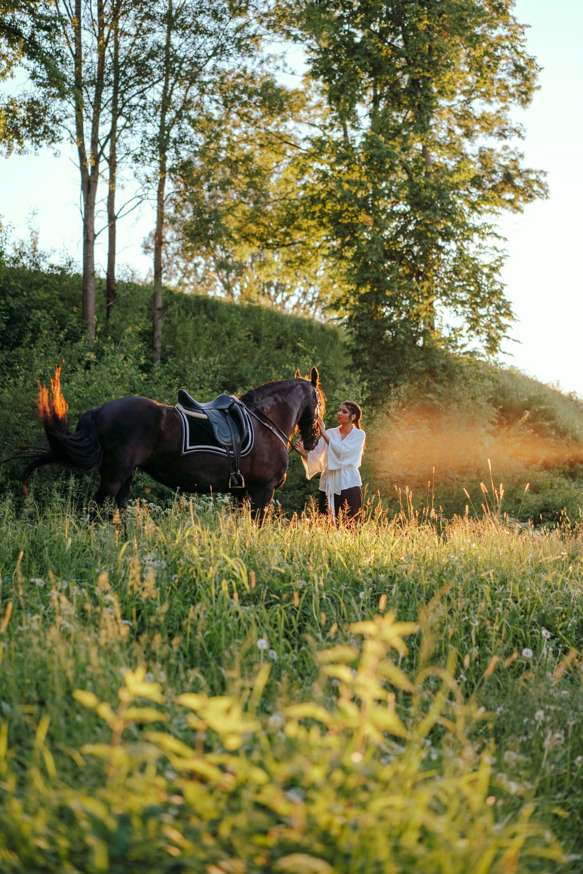 Sun Ridge Stables