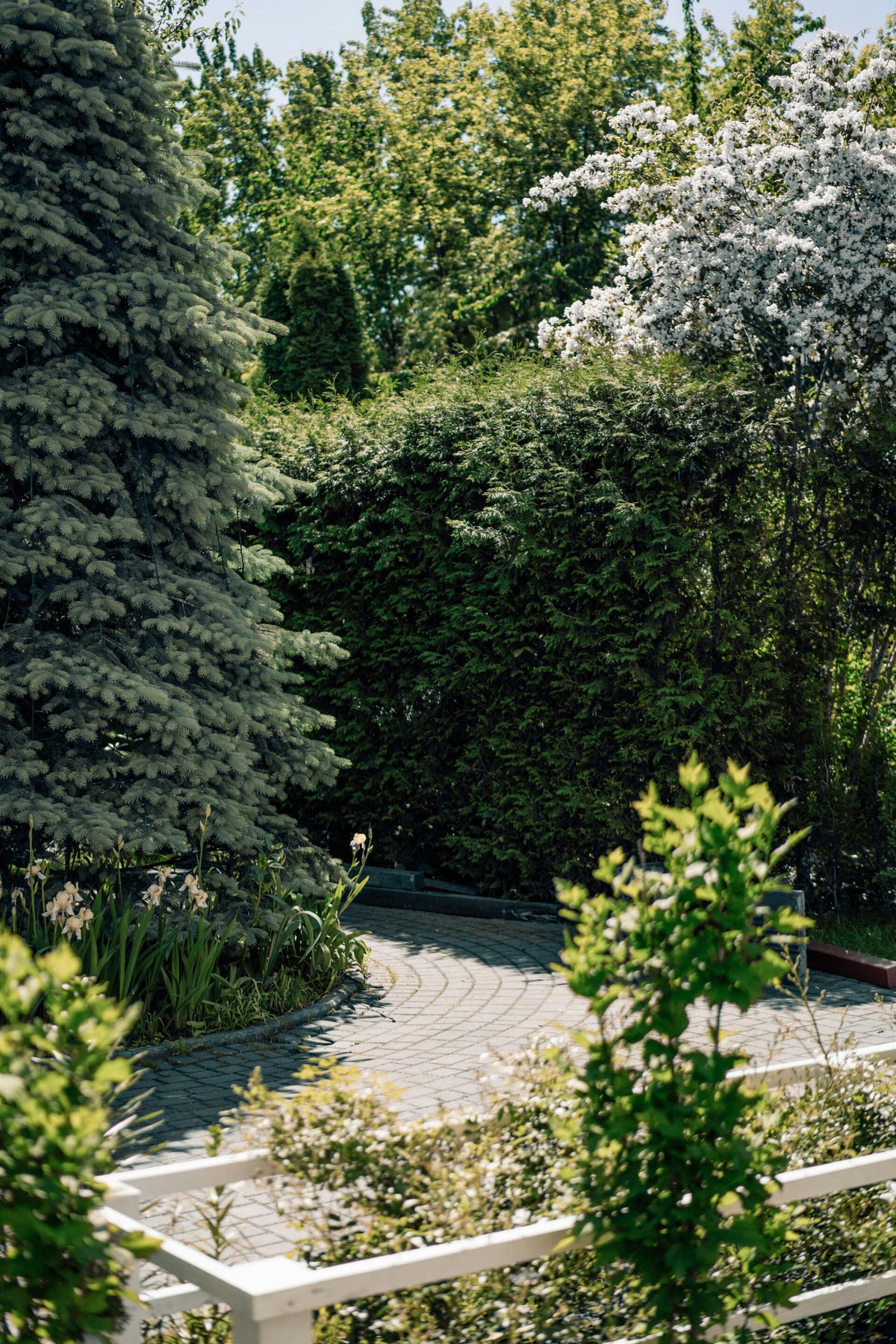 Graf's Ground Improvement