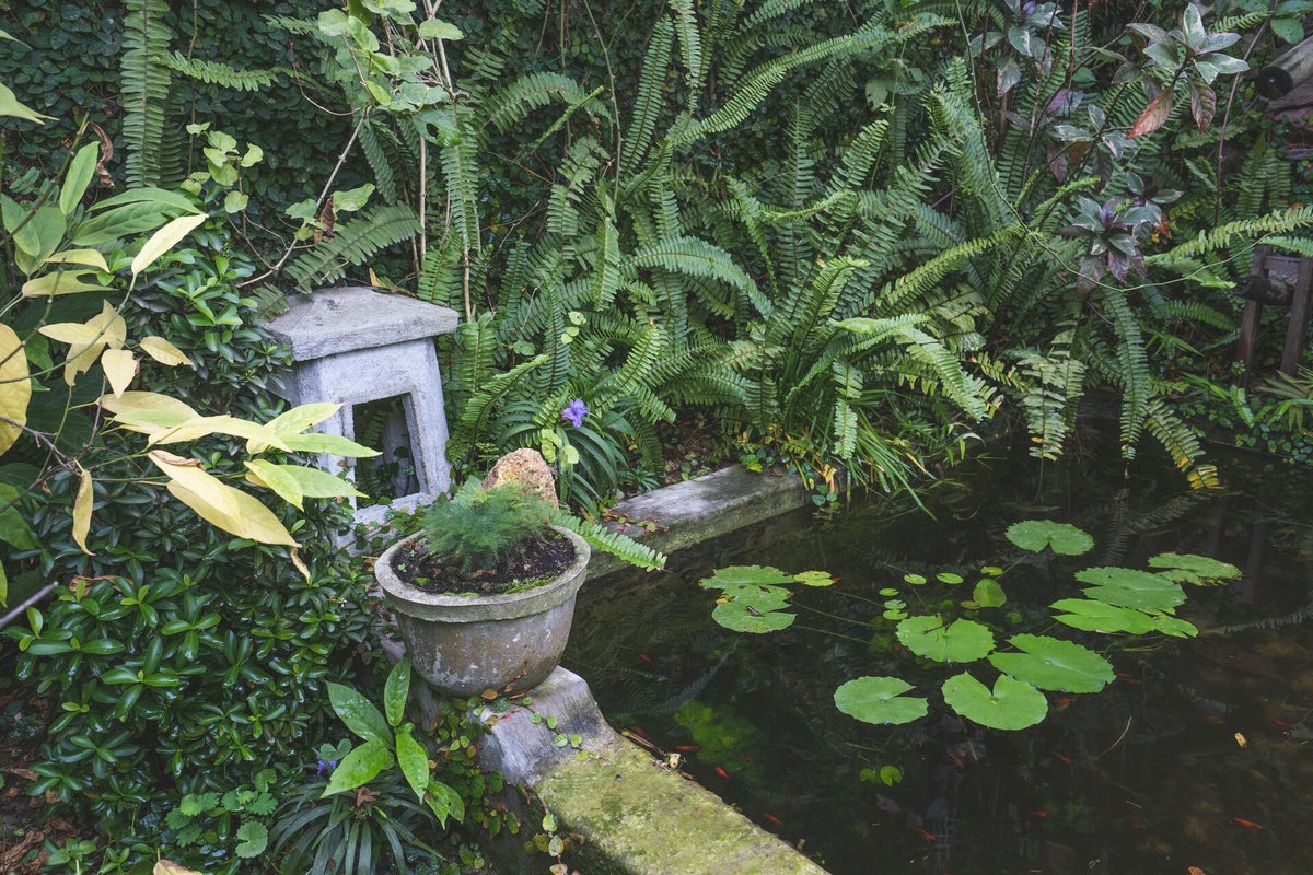 leo-gardens