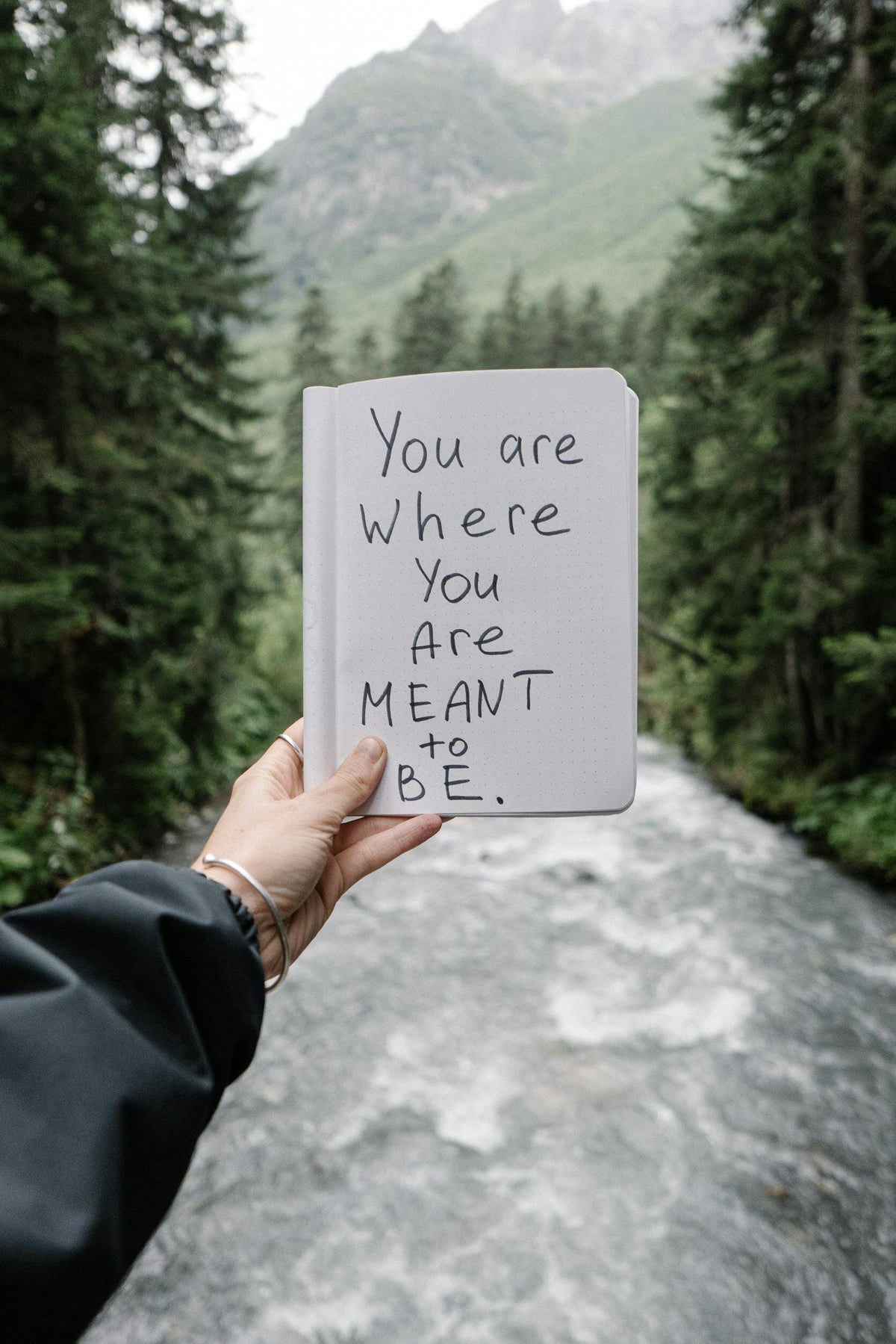 Ruth Geddes Coaching