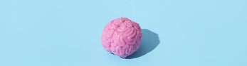 How does the brain store memories? | Everyday Science Blog