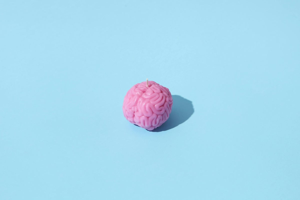 How does the brain store memories? | Everyday Science Blog