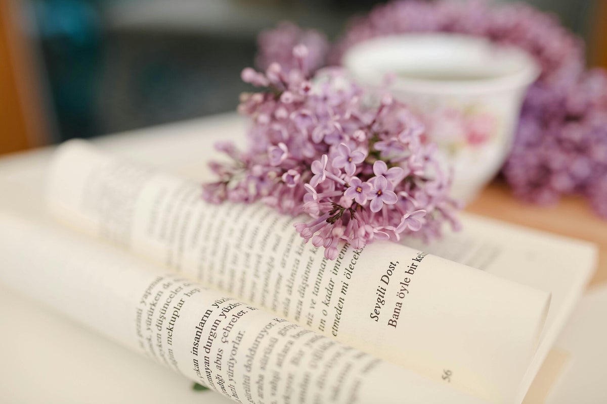 Join My Early Reader Circle – ARC Reader Sign-Up How To | julietellison.com