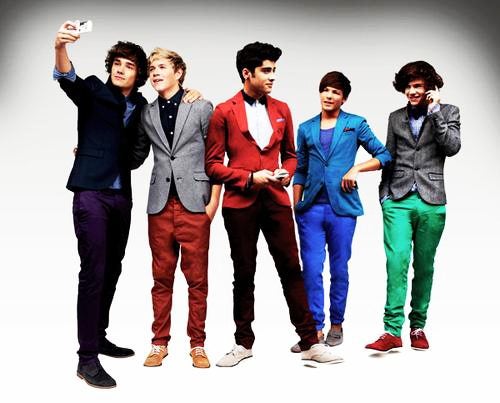 weetjes over Zayn Malik | Directioners-world