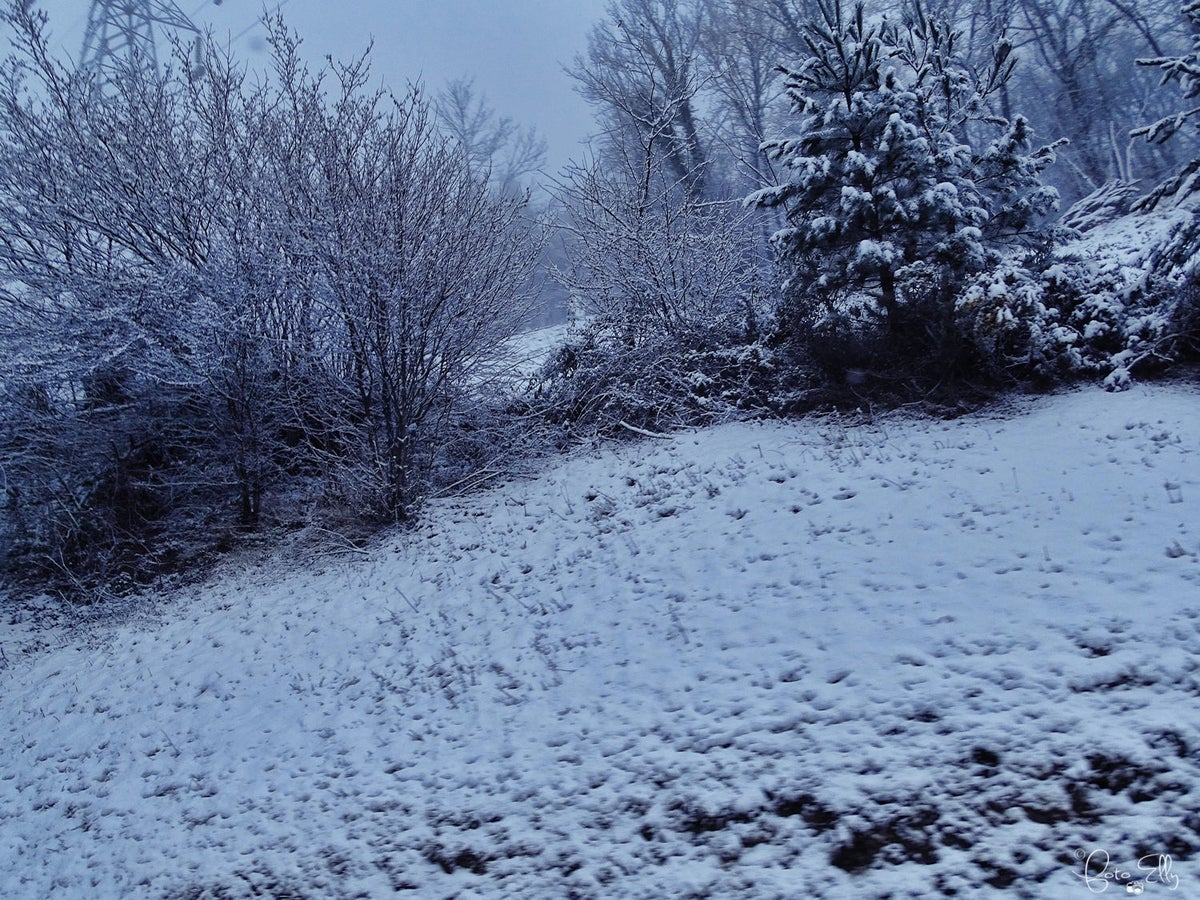 reisverslag met de camper;Portugal 2016 | freubels-van-elly.jouwweb.nl