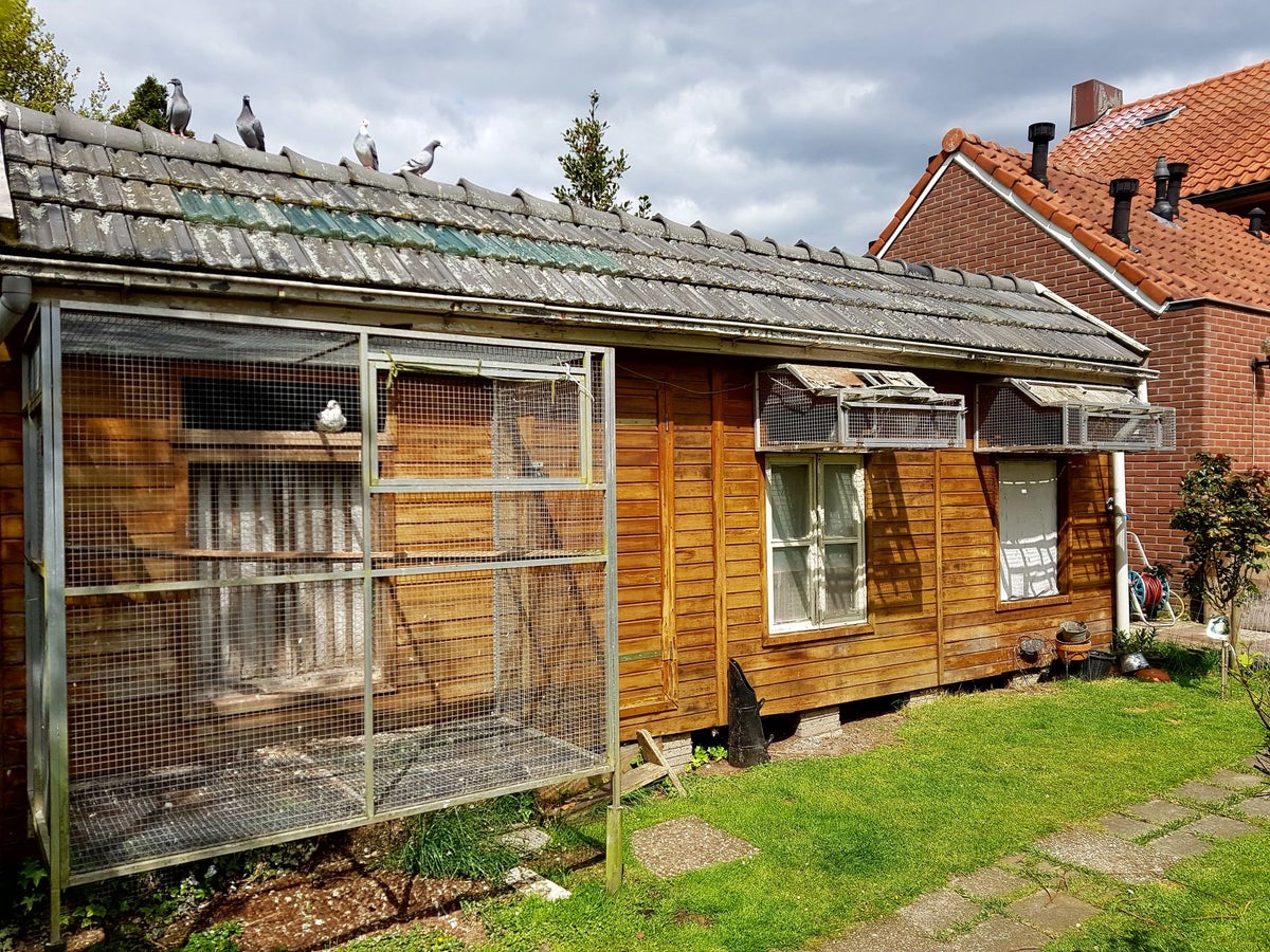 Kweek 2024 | P-visser-en-zn