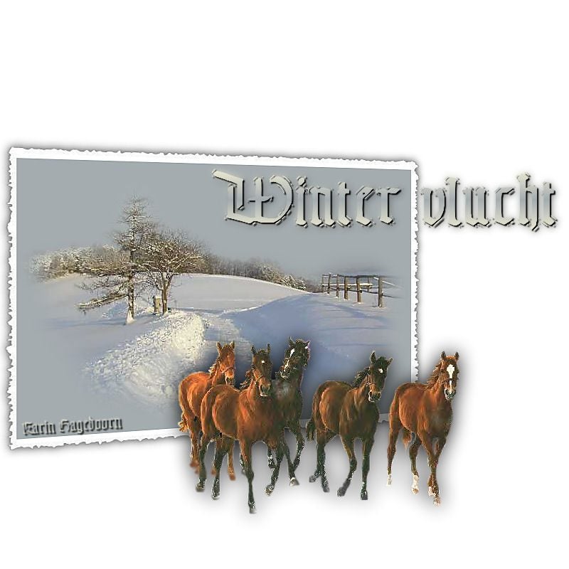 3 d plaatjes | Karin'paatjesweb.mijnweb.nl