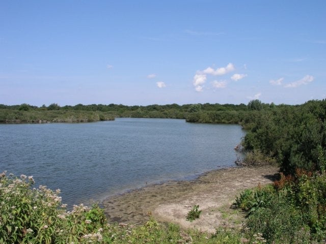 Kwartierstaat / Stamboom | Quak-online