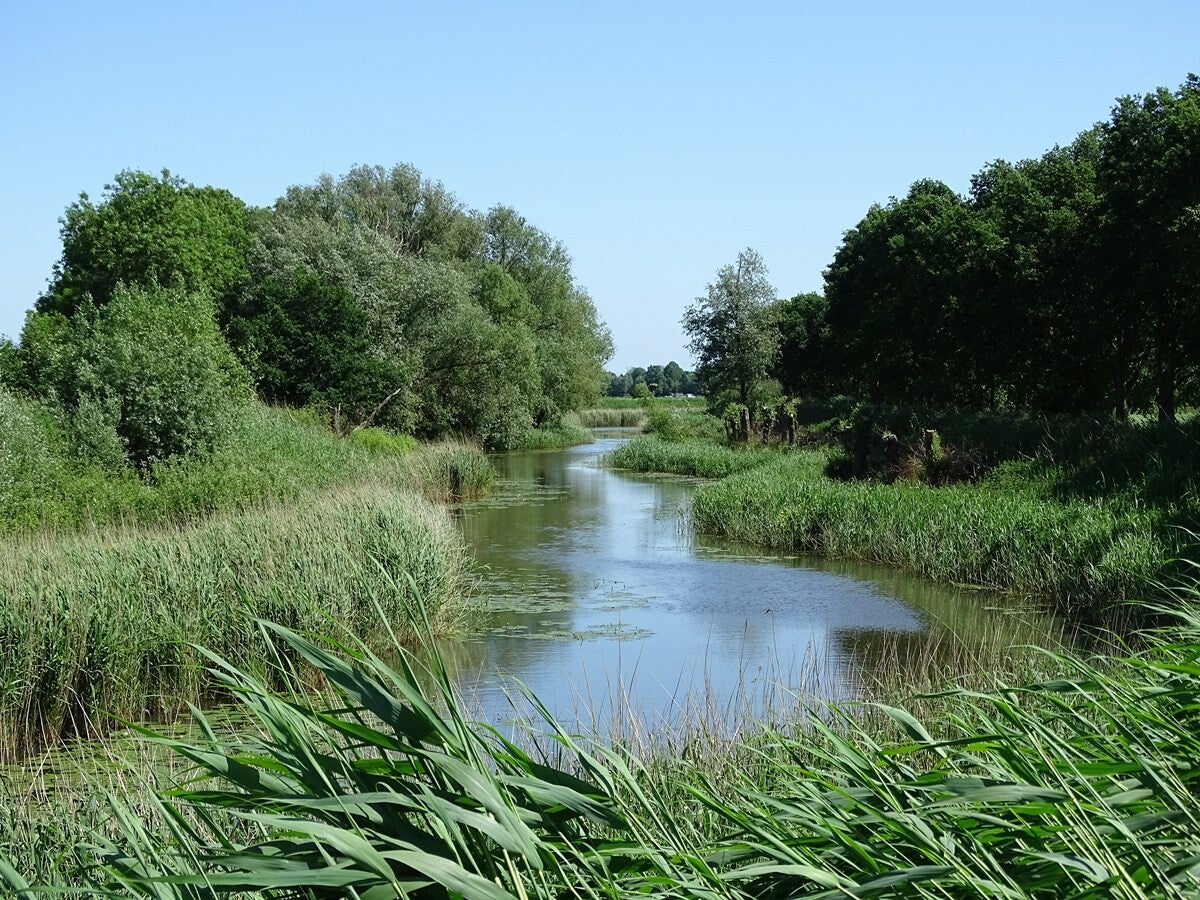 Langs de "Donge" 2015 | De-donge