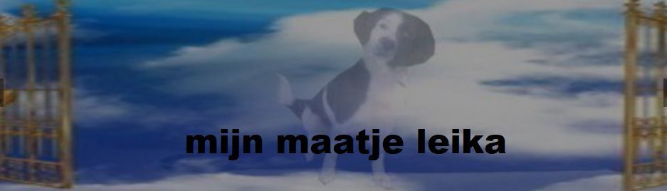 link partners | Vrienden-vriendinnenclubkoosenrimmie