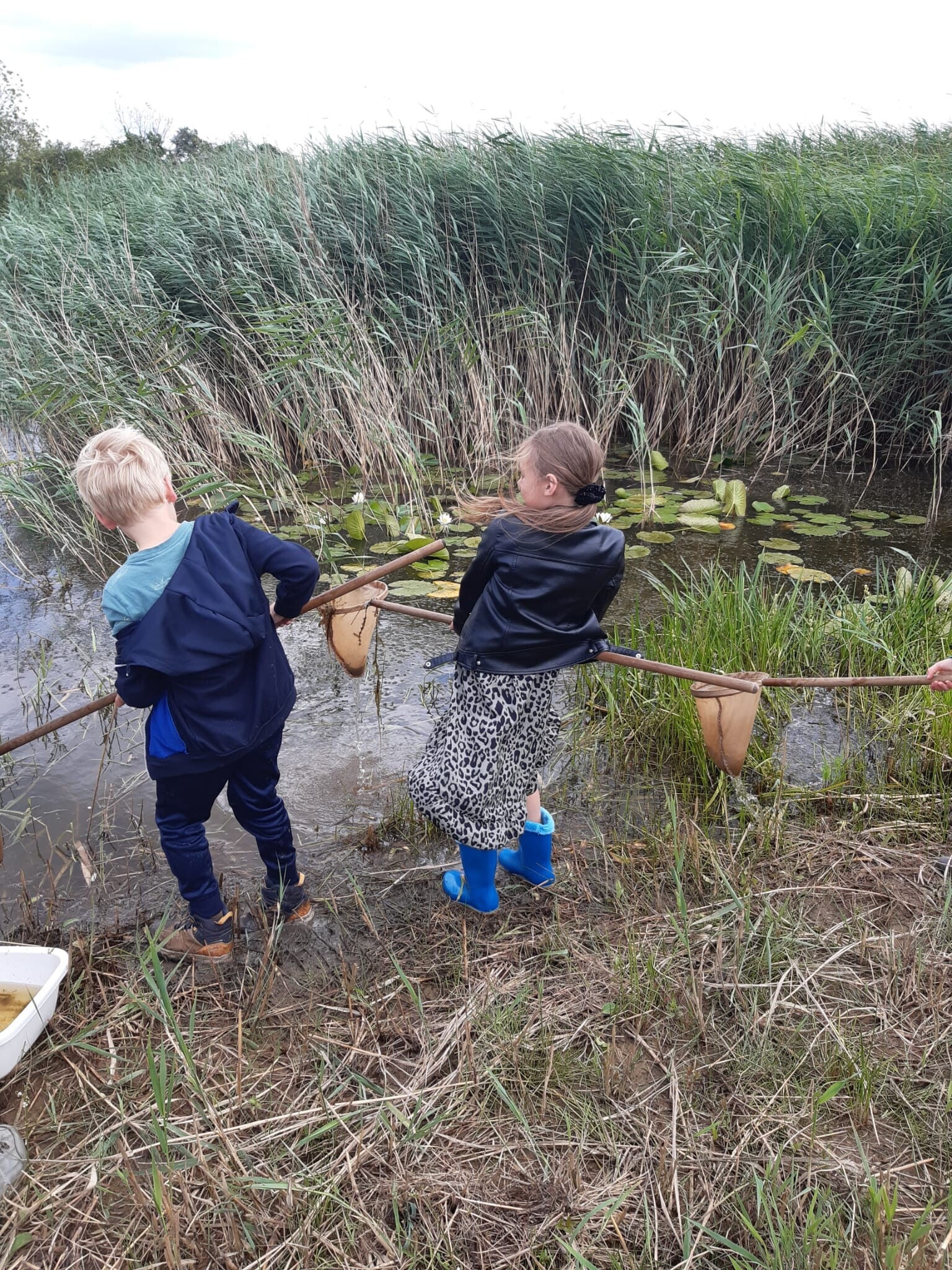 waterbeestjes in een Maasheggen
