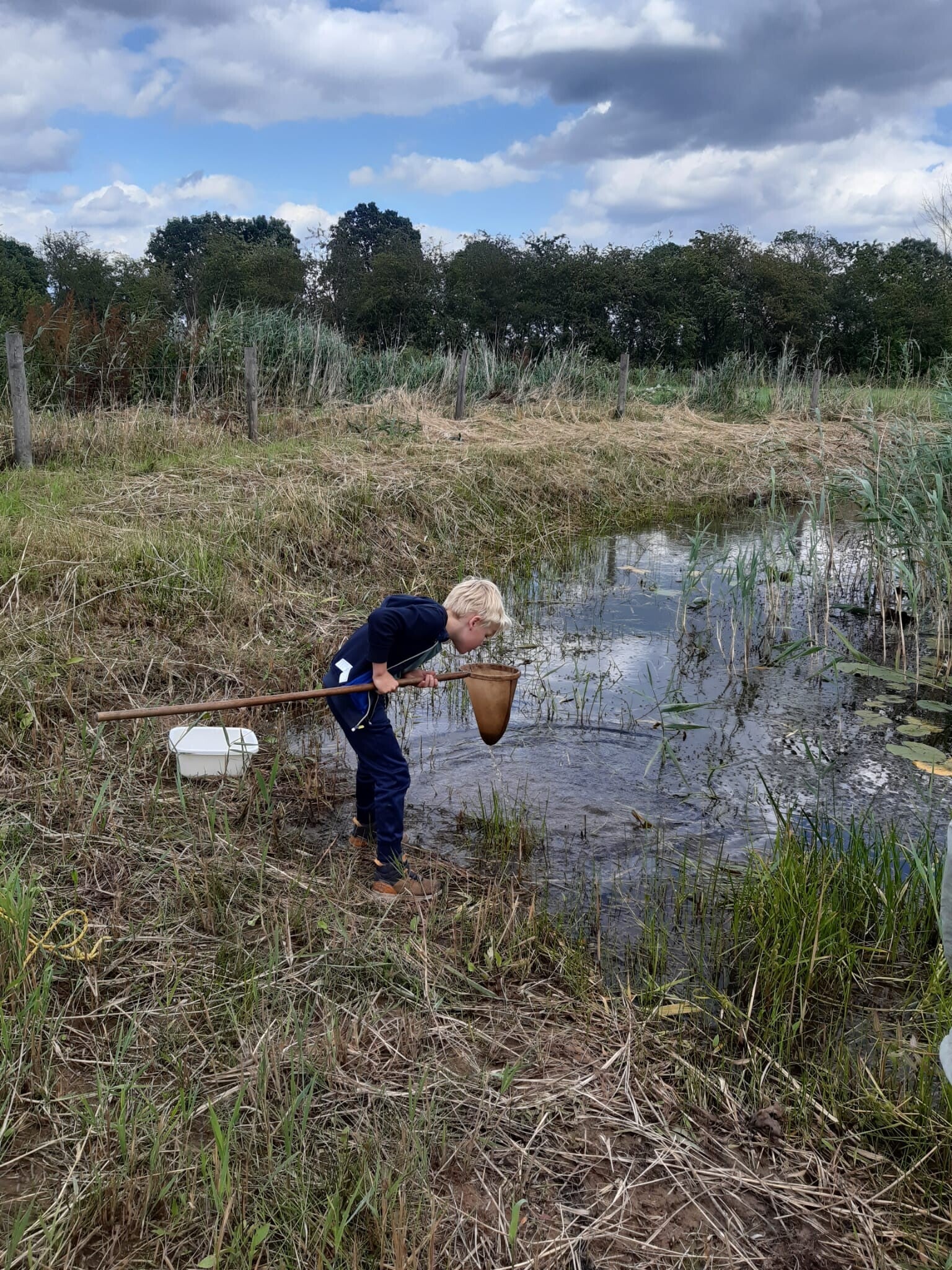 waterbeestjes in een Maasheggen