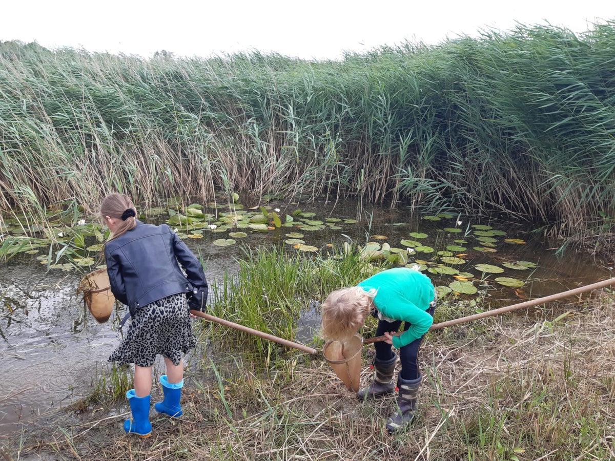 waterbeestjes in een Maasheggen