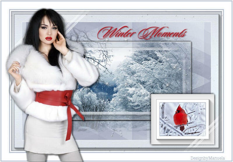 Winter lessen | Maantje psp Design