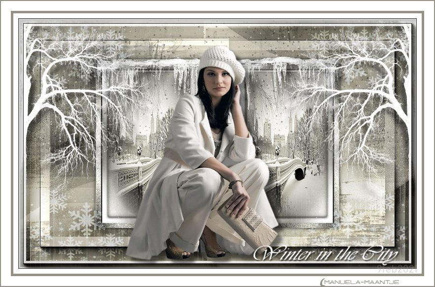 Winter lessen | Maantje psp Design