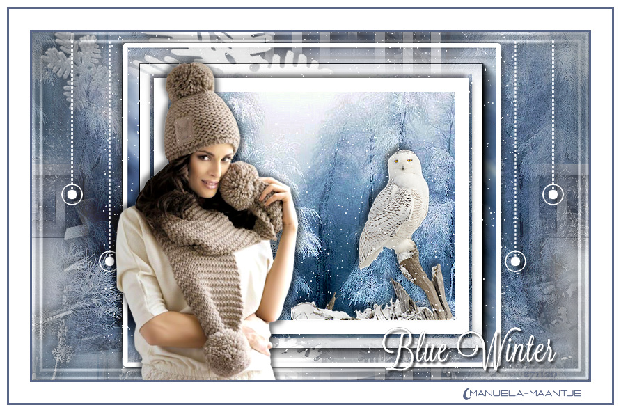 Winter lessen | Maantje psp Design