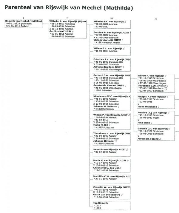GRAFISCHE WEERGAVE / STAM VAN RIJSWIJK | vanrijswijkuitschiedam.jouwweb.nl